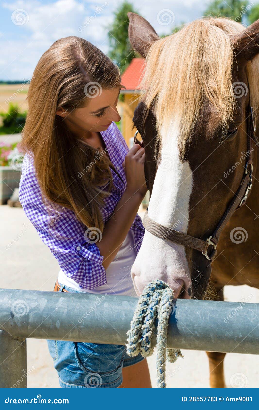 Young Woman in the Stable with Horse at Sunshine Stock Image - Image of ...