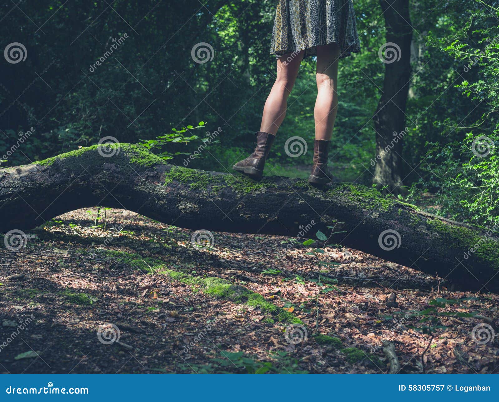 Young Woman Standing on a Log in the Forest Stock Image - Image of ...