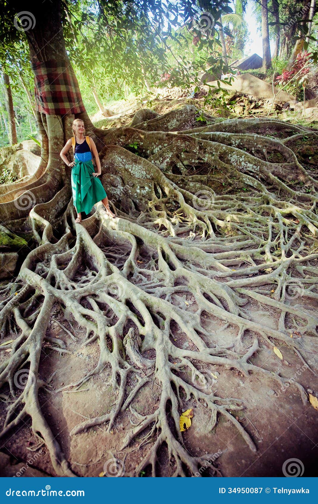 Young Woman Standing on the Tree Roots Stock Image - Image of rain ...