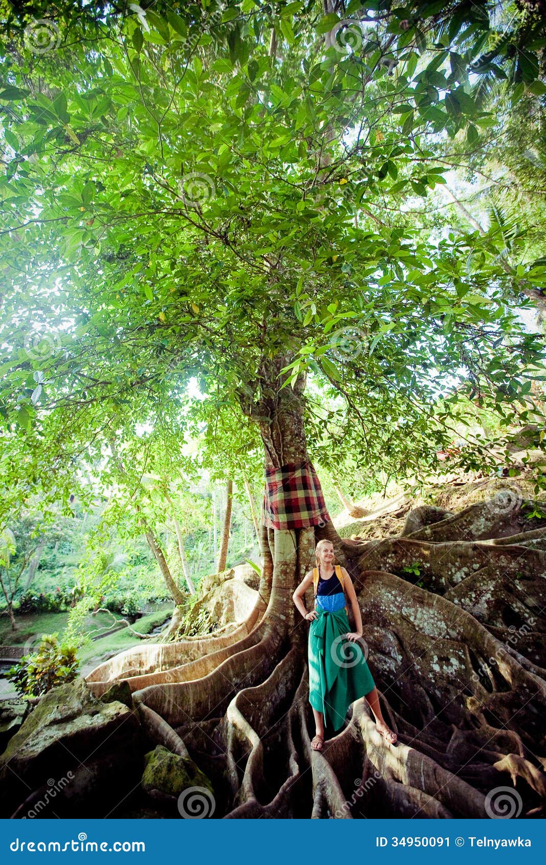 Young Woman Standing on the Tree Roots Stock Image - Image of ...