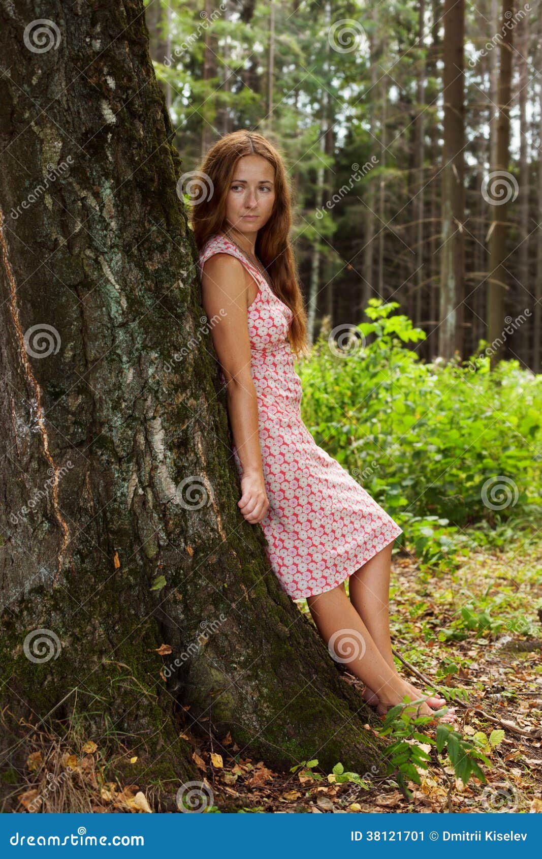 Young Woman Standing in a Tree Trunk Stock Image - Image of outdoors ...
