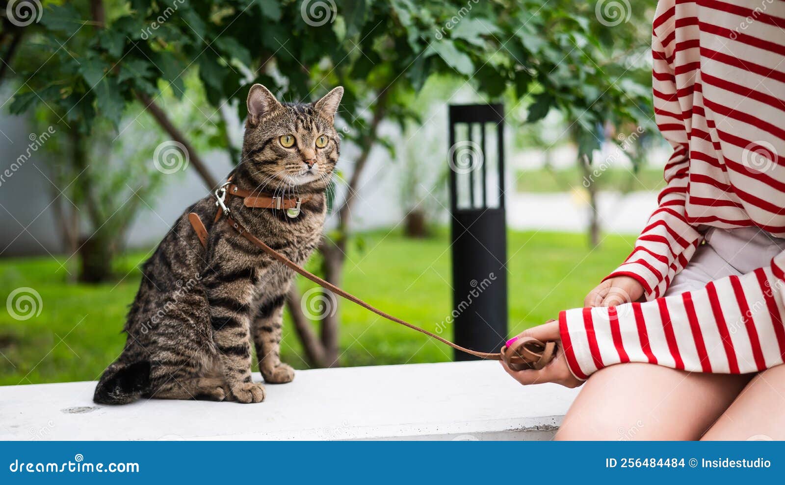 Young Woman and Tabby Cat Sitting on a Bench Outdoors. Stock Photo ...