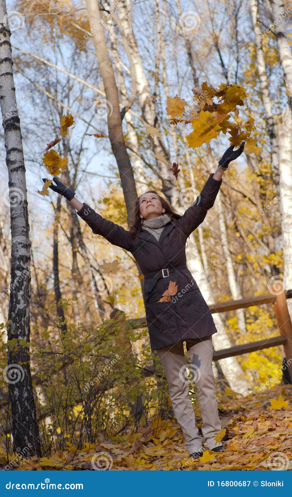 Young Woman Throwing Leaves in the Air Stock Image - Image of cute ...