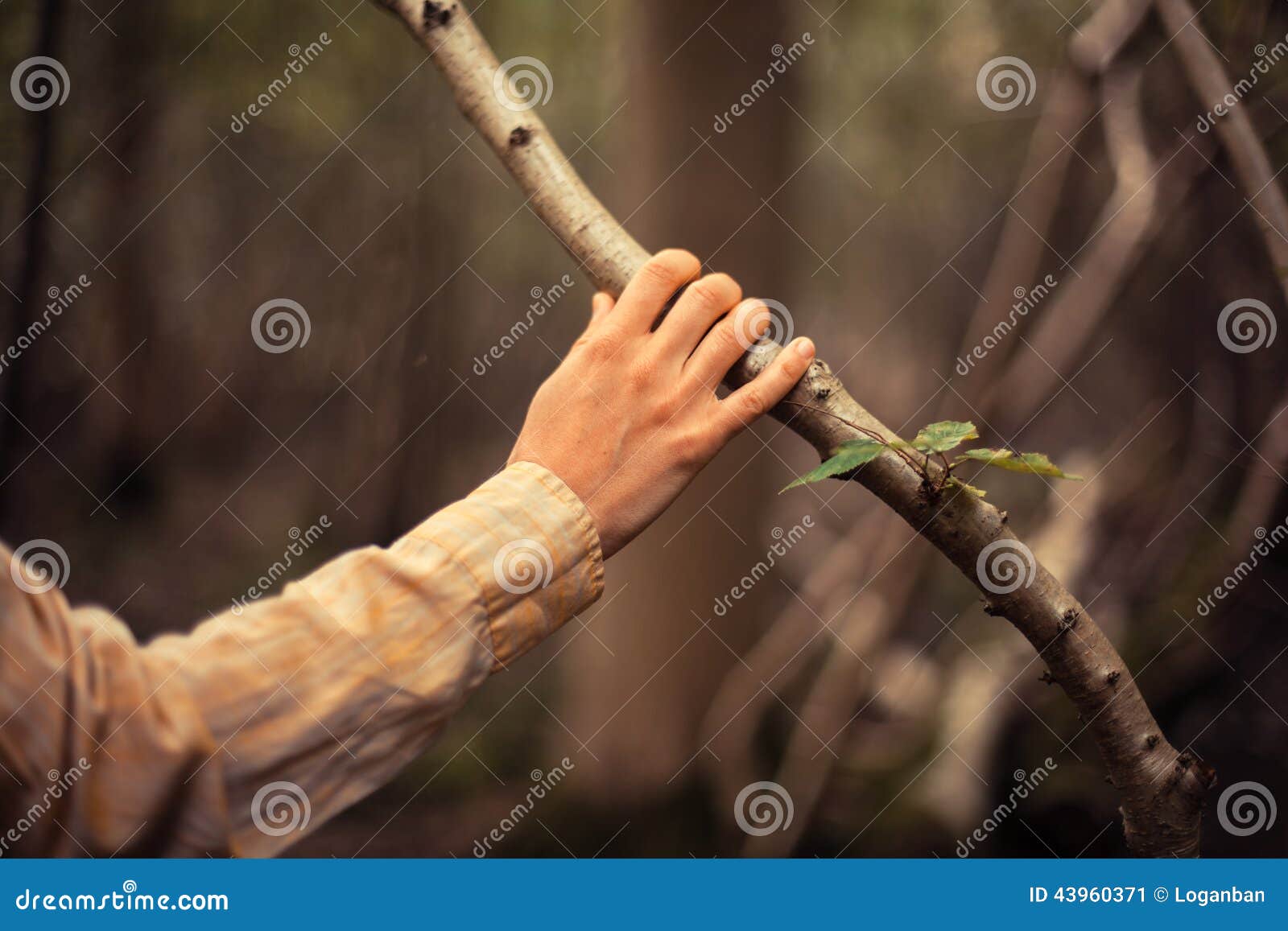 Young Woman is Touching a Tree Branch Stock Image - Image of happy ...