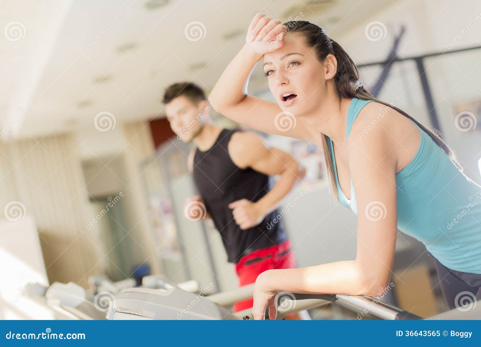 Young Woman Training in Gym Stock Image - Image of practice, health ...