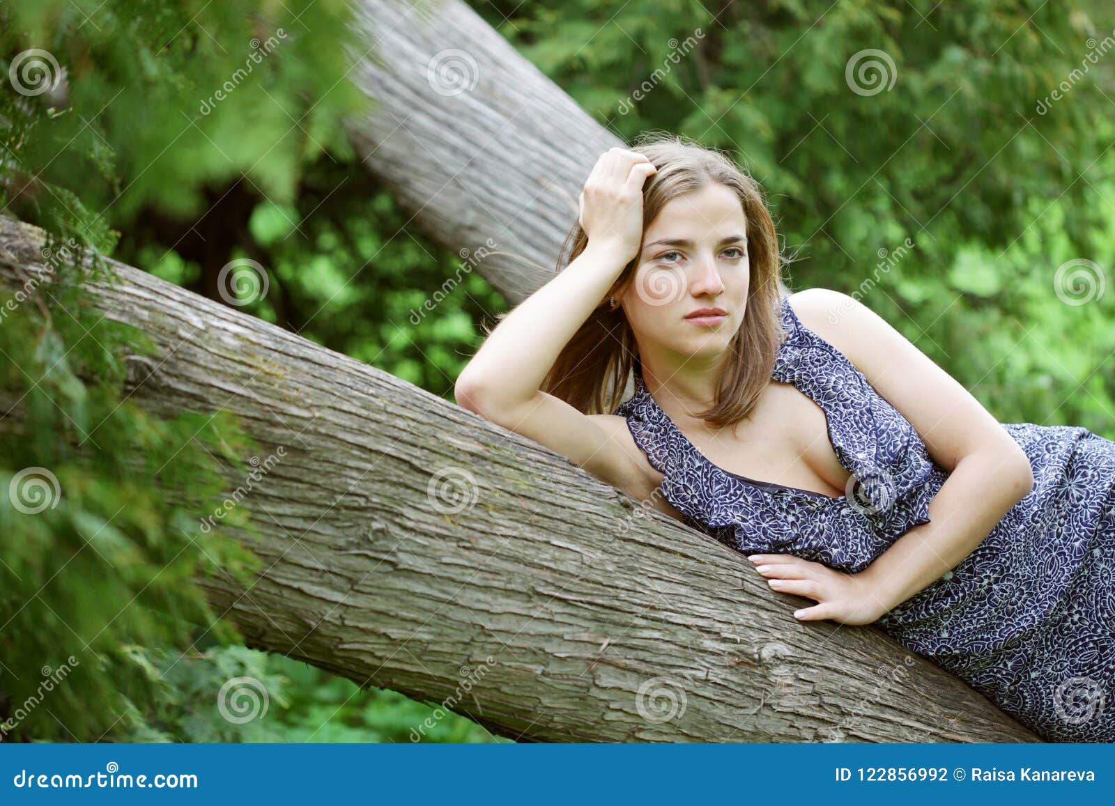 Young woman on a tree stock photo. Image of eyes, glamour - 122856992