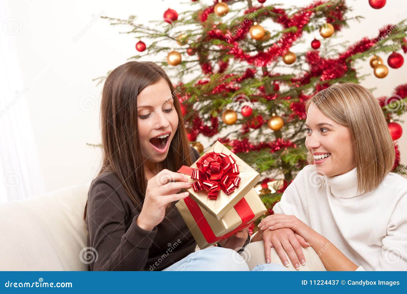 Young Woman Unpacking Christmas Gift Stock Image - Image of advent ...
