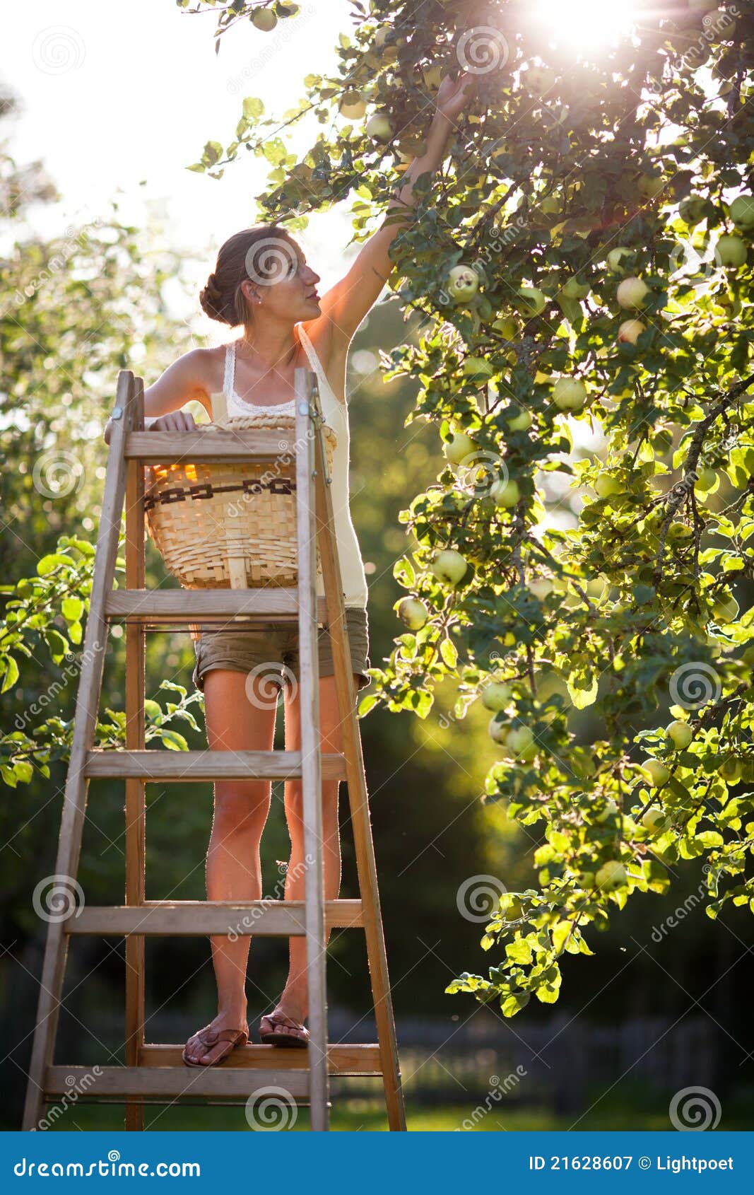 Young woman up on a ladder stock image. Image of girl - 21628607