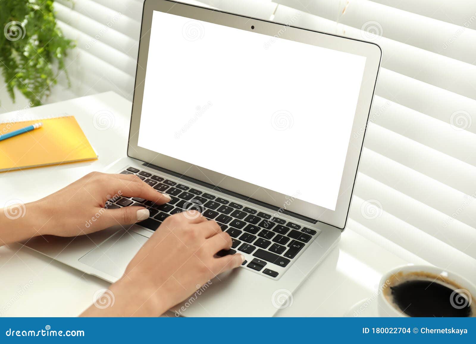 Young Woman Using Modern Computer at Table in Office. Space for Design ...