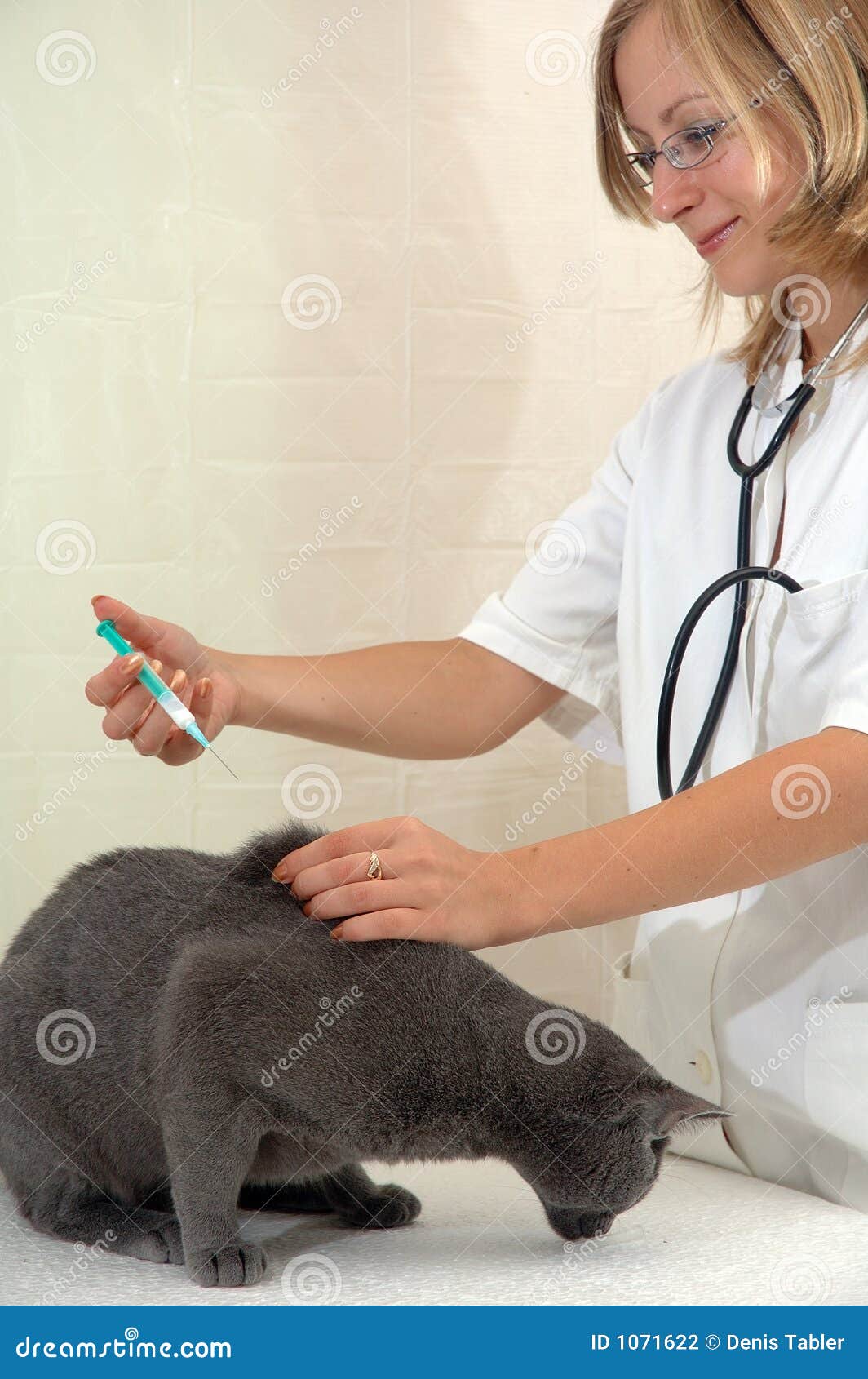 Young Woman Veterinary Surgeon Stock Photo - Image of young, expression ...