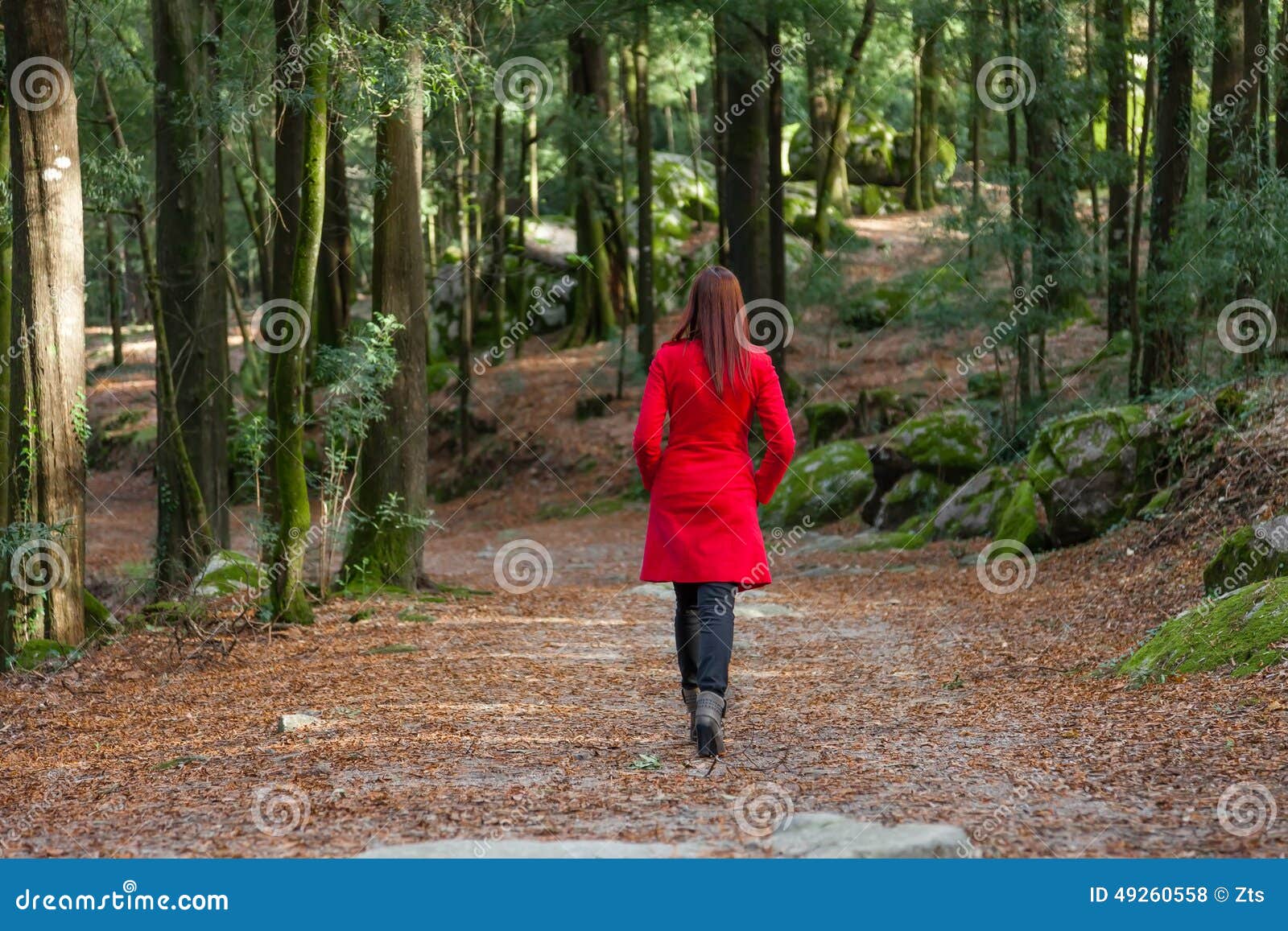Young Woman Walking Alone on a Forest Stock Photo - Image of coat ...