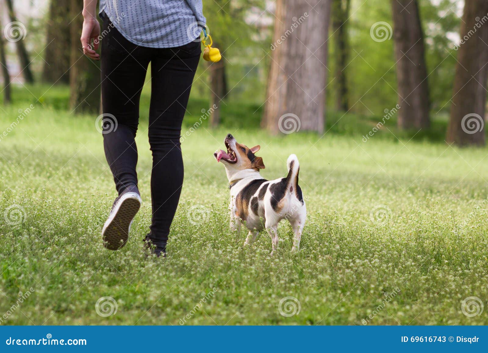 Young Woman Walking with a Dog Playing Training Stock Image - Image of ...