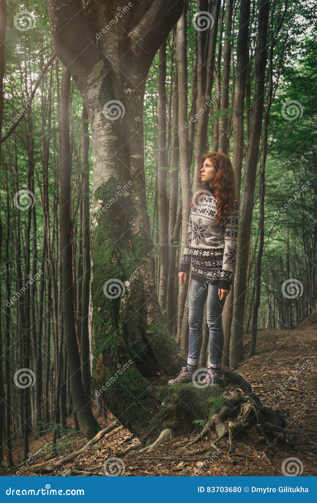 Young Woman Walking in Magic Forest Stock Photo - Image of dreamy ...