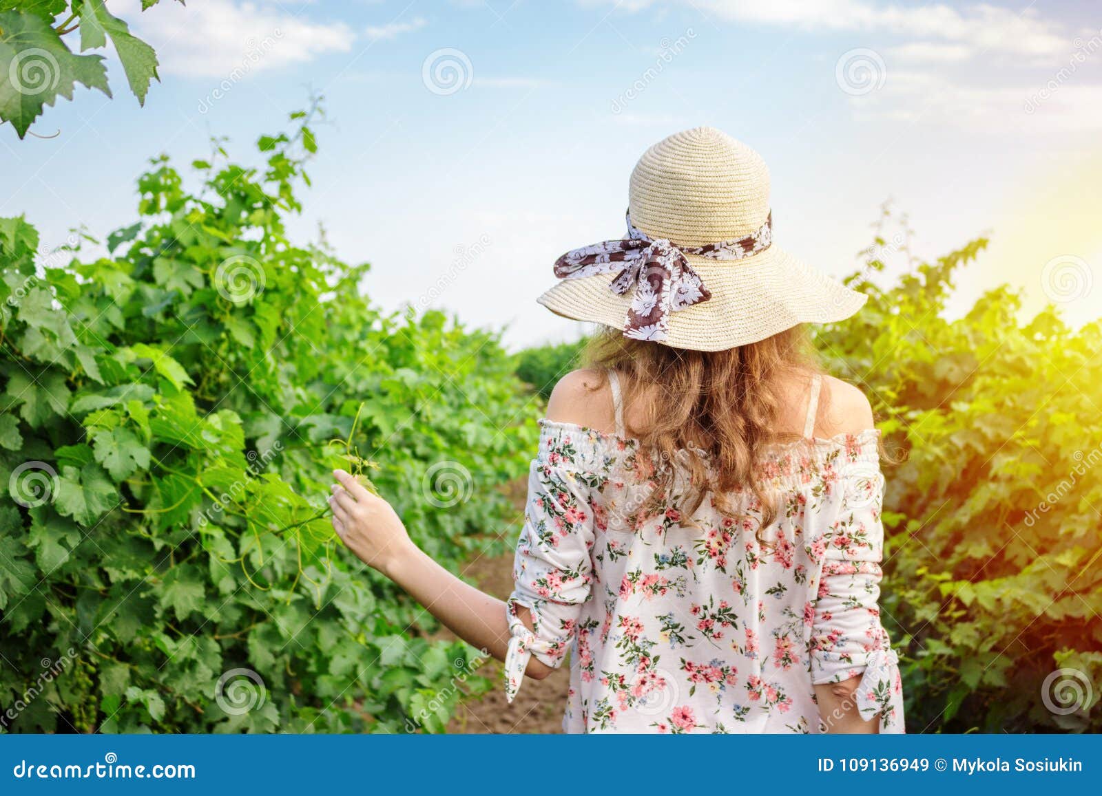 Young Woman Walking between a Row of Grape Vines Stock Image - Image of ...