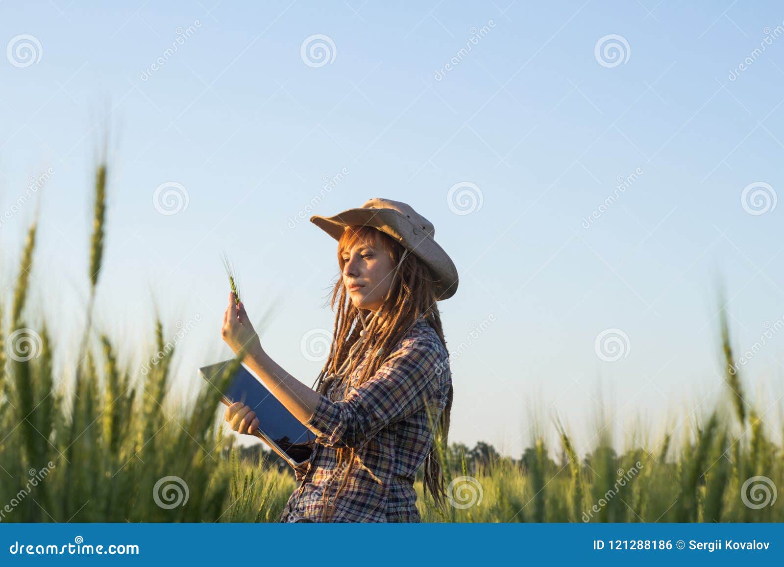 Young woman work in fields stock photo. Image of farming - 121288186