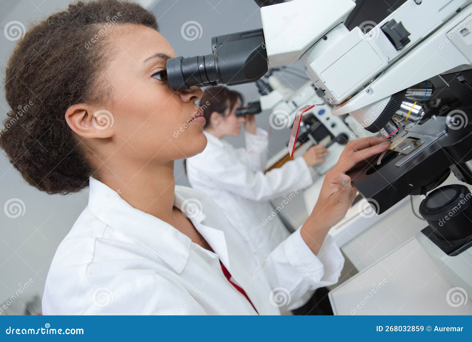 Young Woman Work in Microbiological Laboratory with Microscope Stock ...