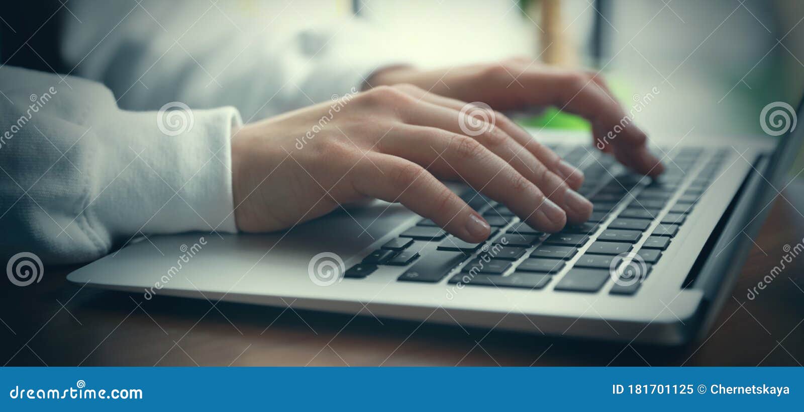 Young Woman Working on Computer in Cafe. Banner Design Stock Image ...