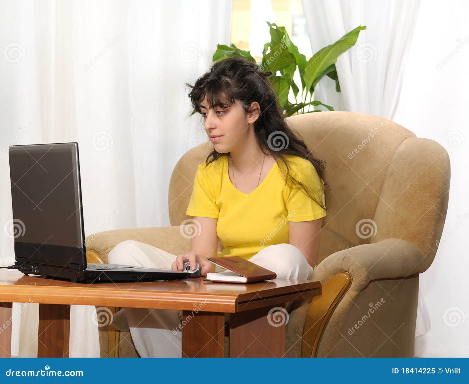 Young Woman Working at Home Stock Image - Image of happy, pretty: 18414225