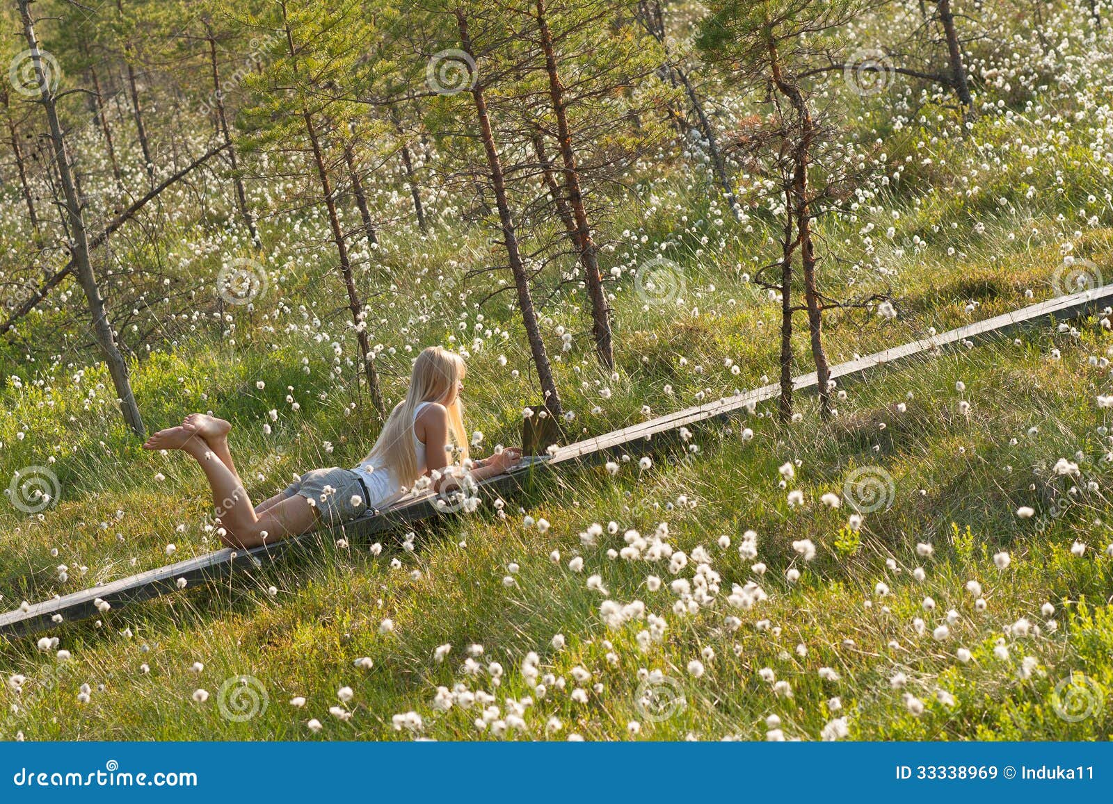 Young Woman Working in Nature Stock Image - Image of young, outdoors ...