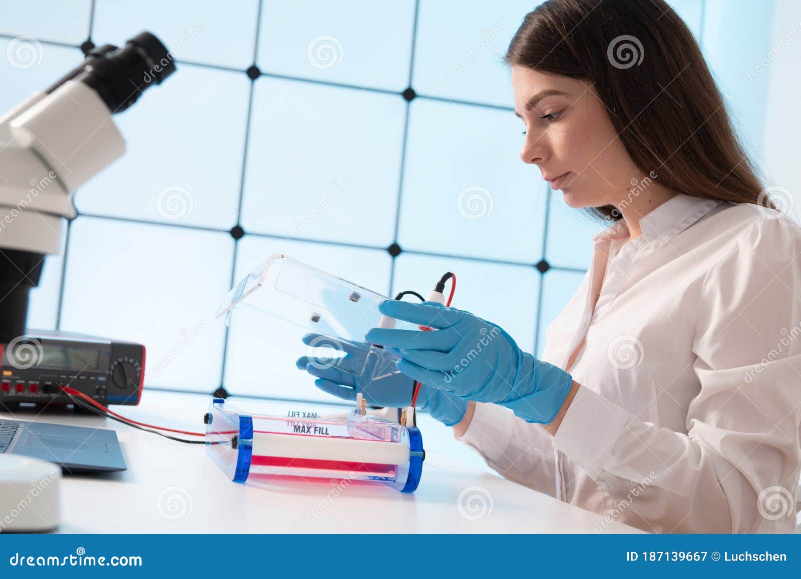 A Young Woman Writes an Algorithm for the Robot Arm. Science Research ...