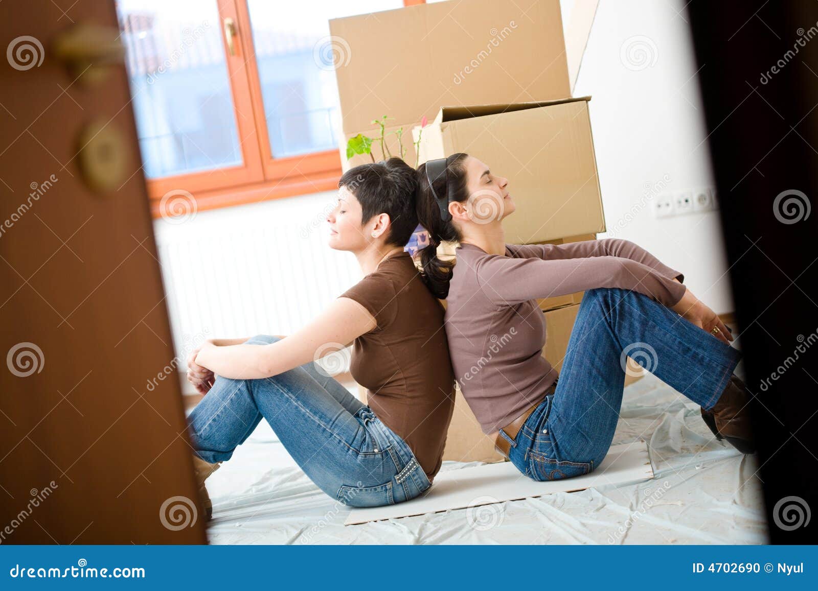 Young women moving home stock photo. Image of horizontal - 4702690