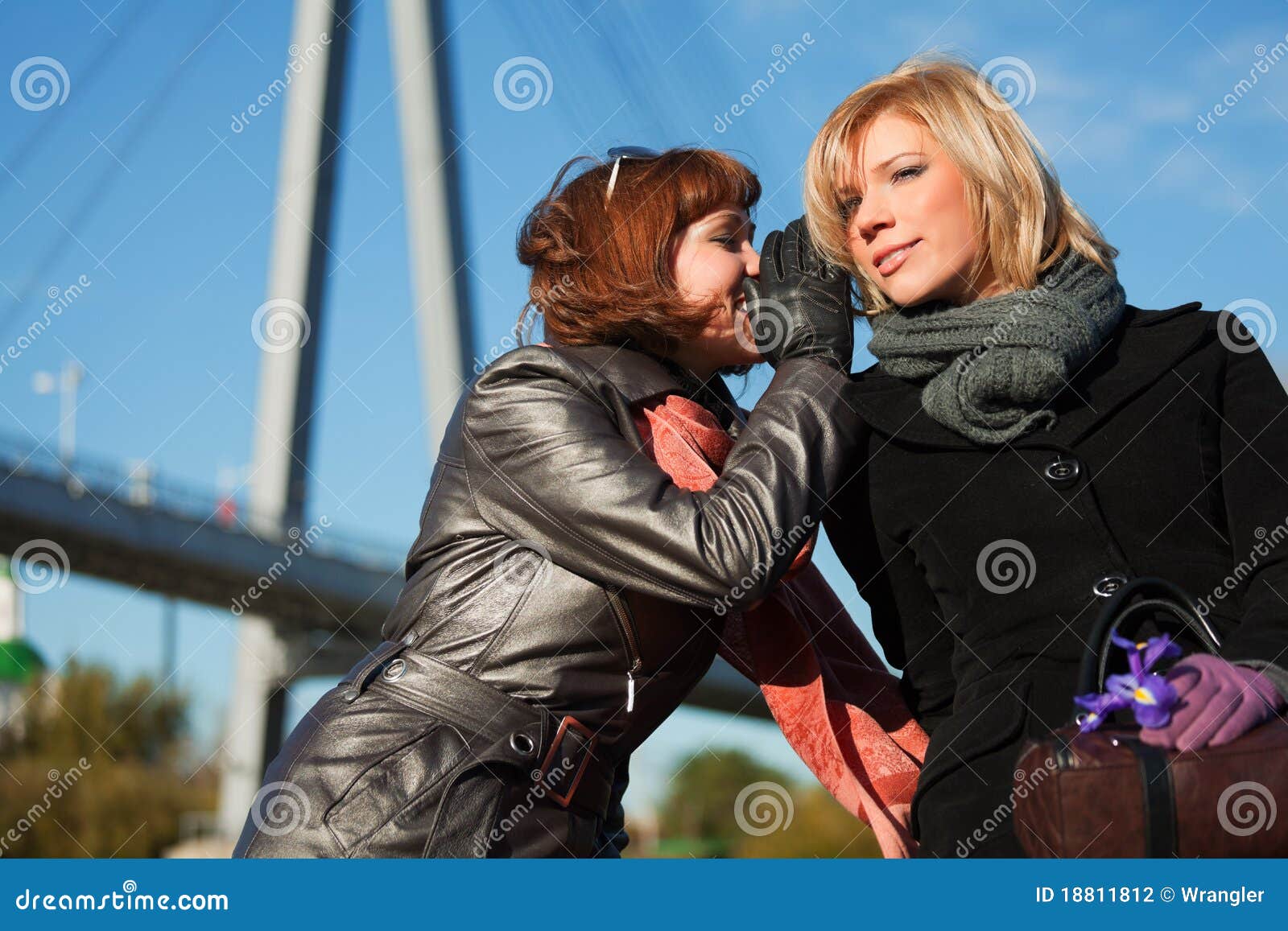 Young women whispering stock photo. Image of brunette - 18811812