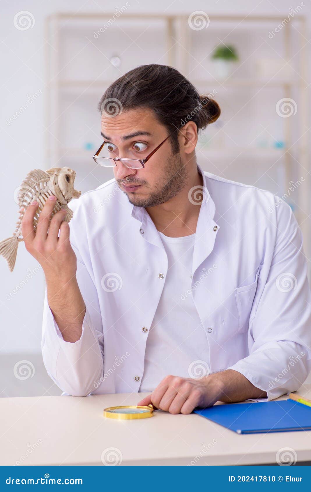 Young Male Zoologist Student Studying Fish Skeleton Stock Photo - Image ...