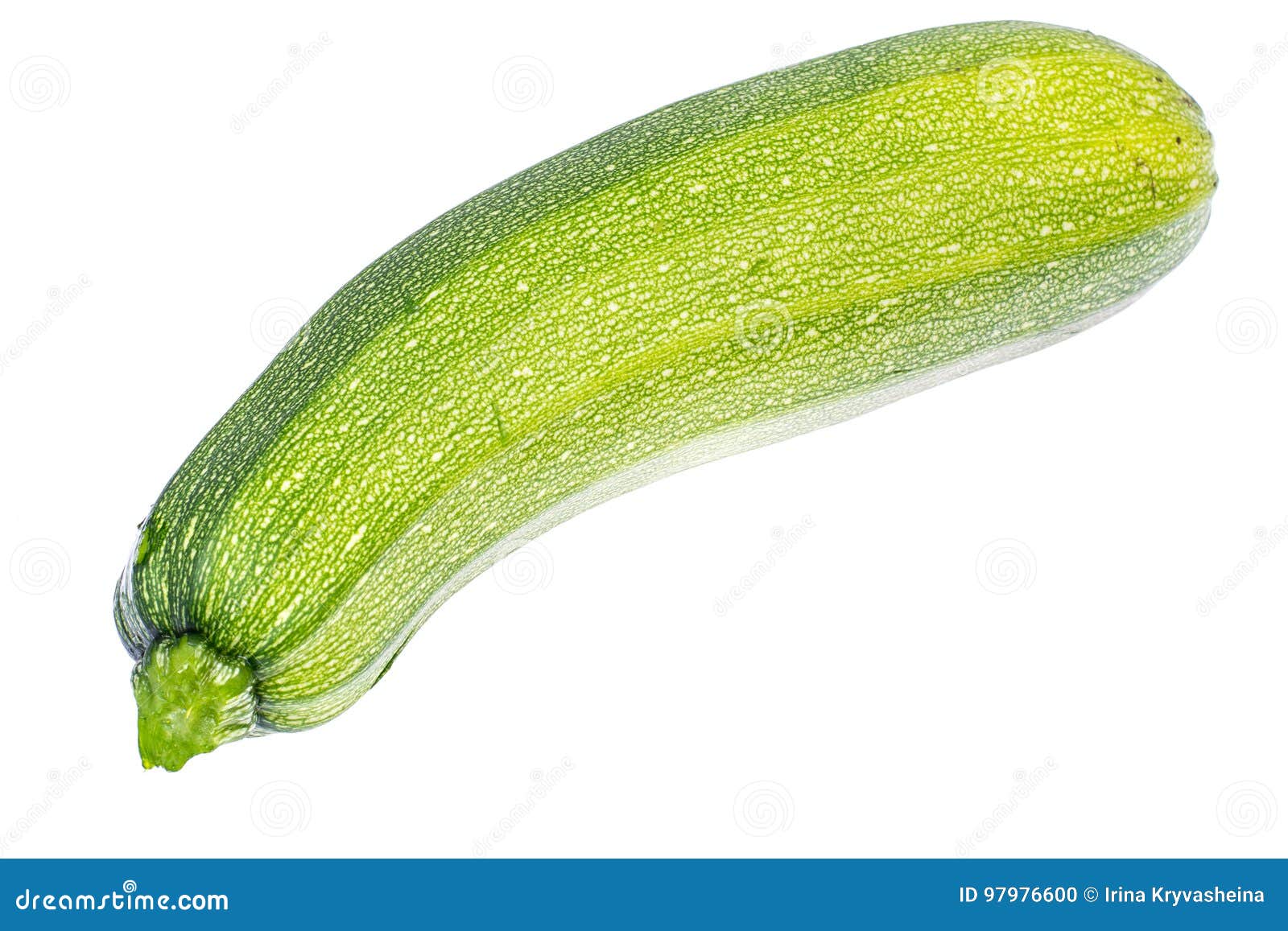 Young Zucchini on White Background Stock Photo - Image of cucurbita ...