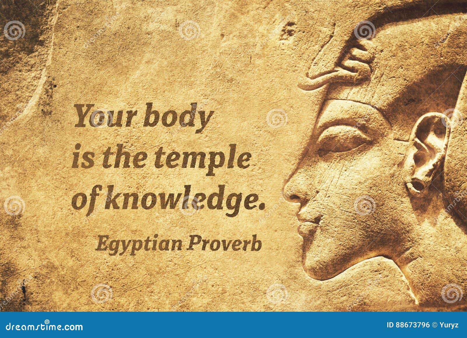 Your body is EP stock photo. Image of culture, proverb - 88673796