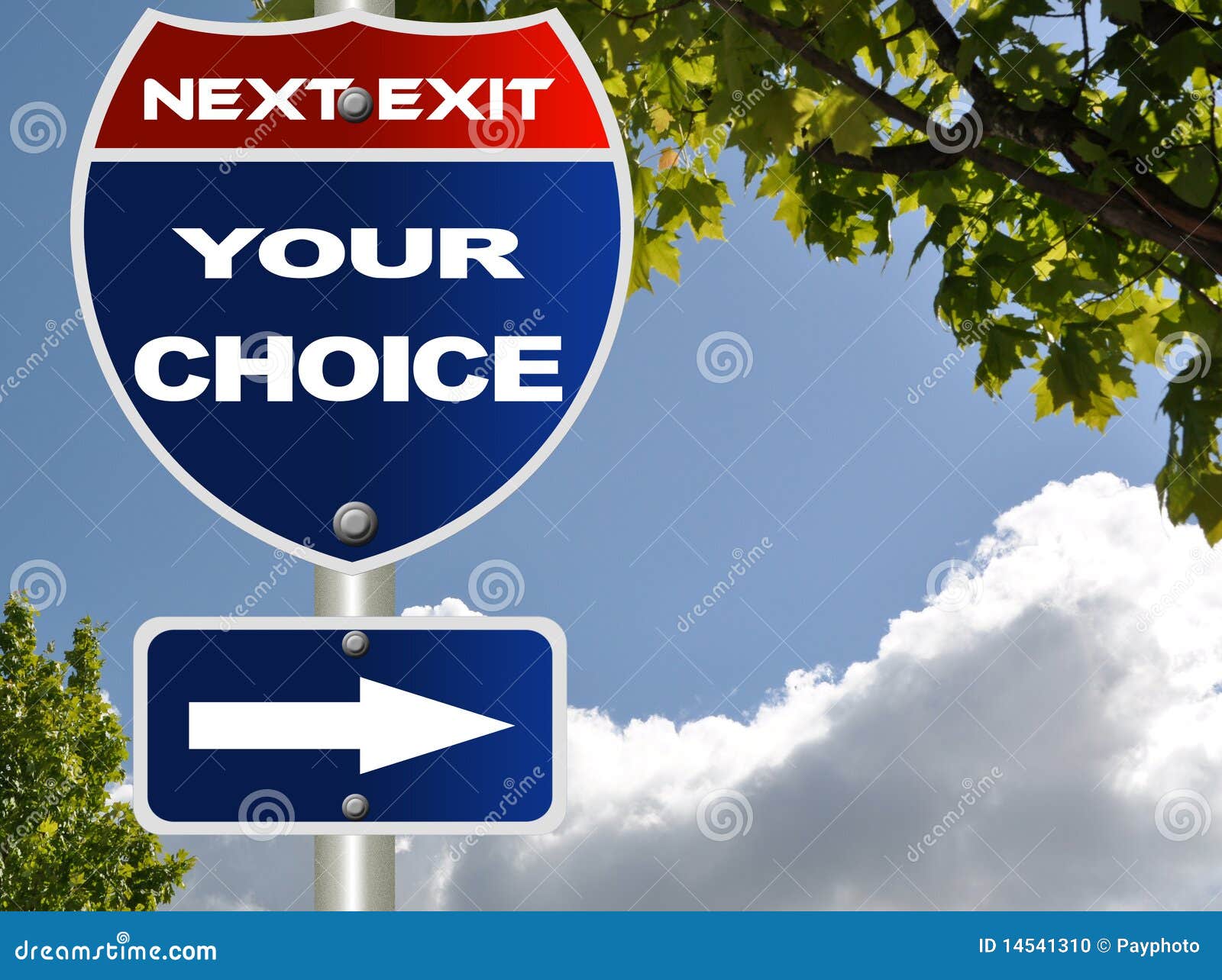 Your choice road sign stock illustration. Illustration of conclusion ...