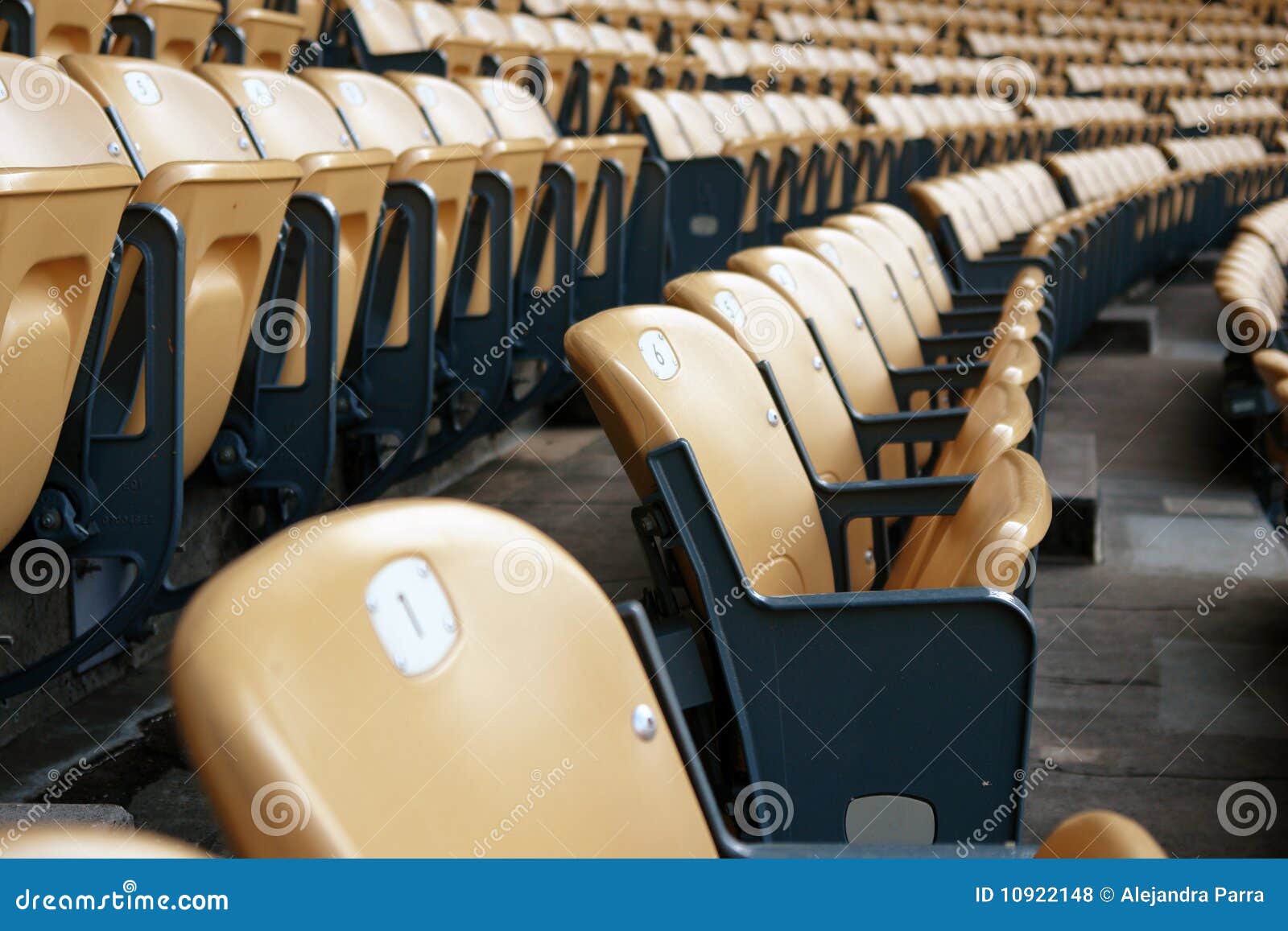 Your numbered seat stock photo. Image of entertainment - 10922148