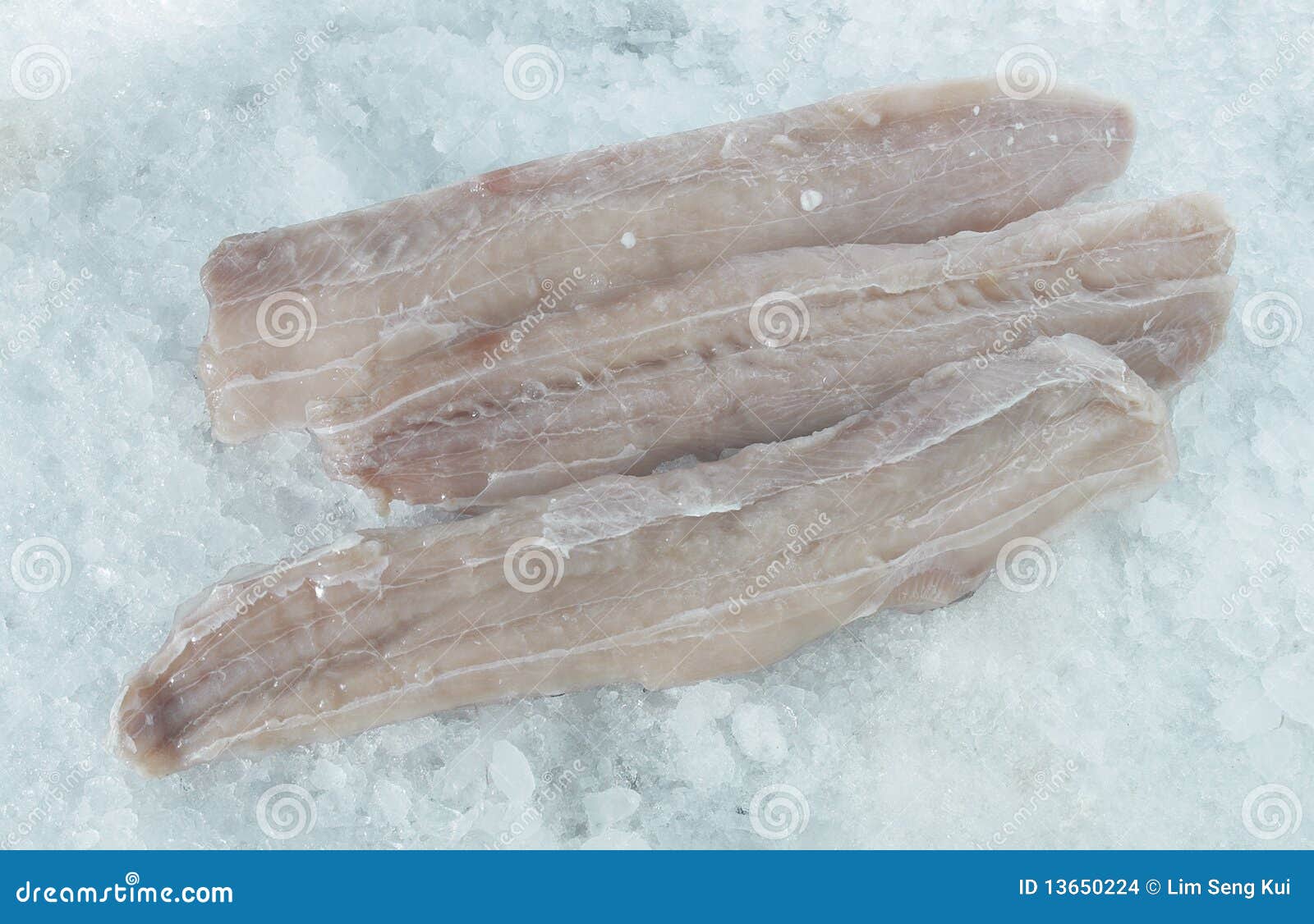 Yu fillet stock photo. Image of seafood, indulgence, people - 13650224