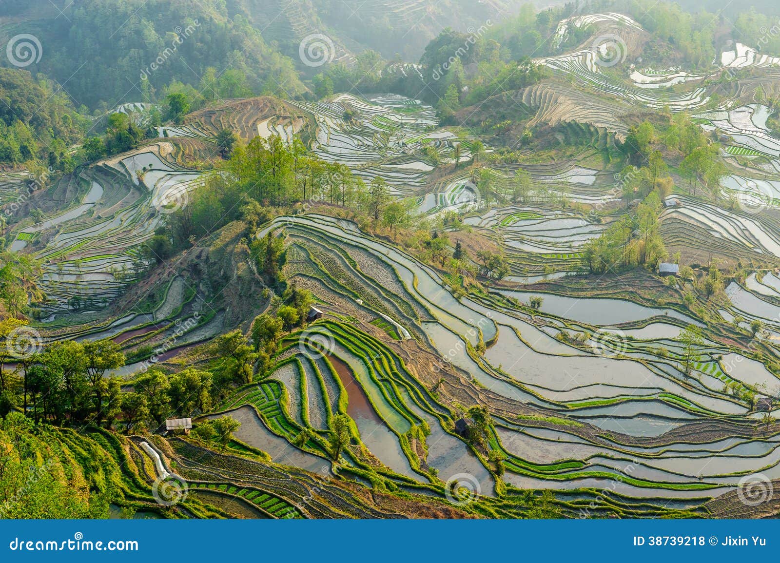 Yuan Yang Rice Terraces foto de stock. Imagem de porcelana - 38739218