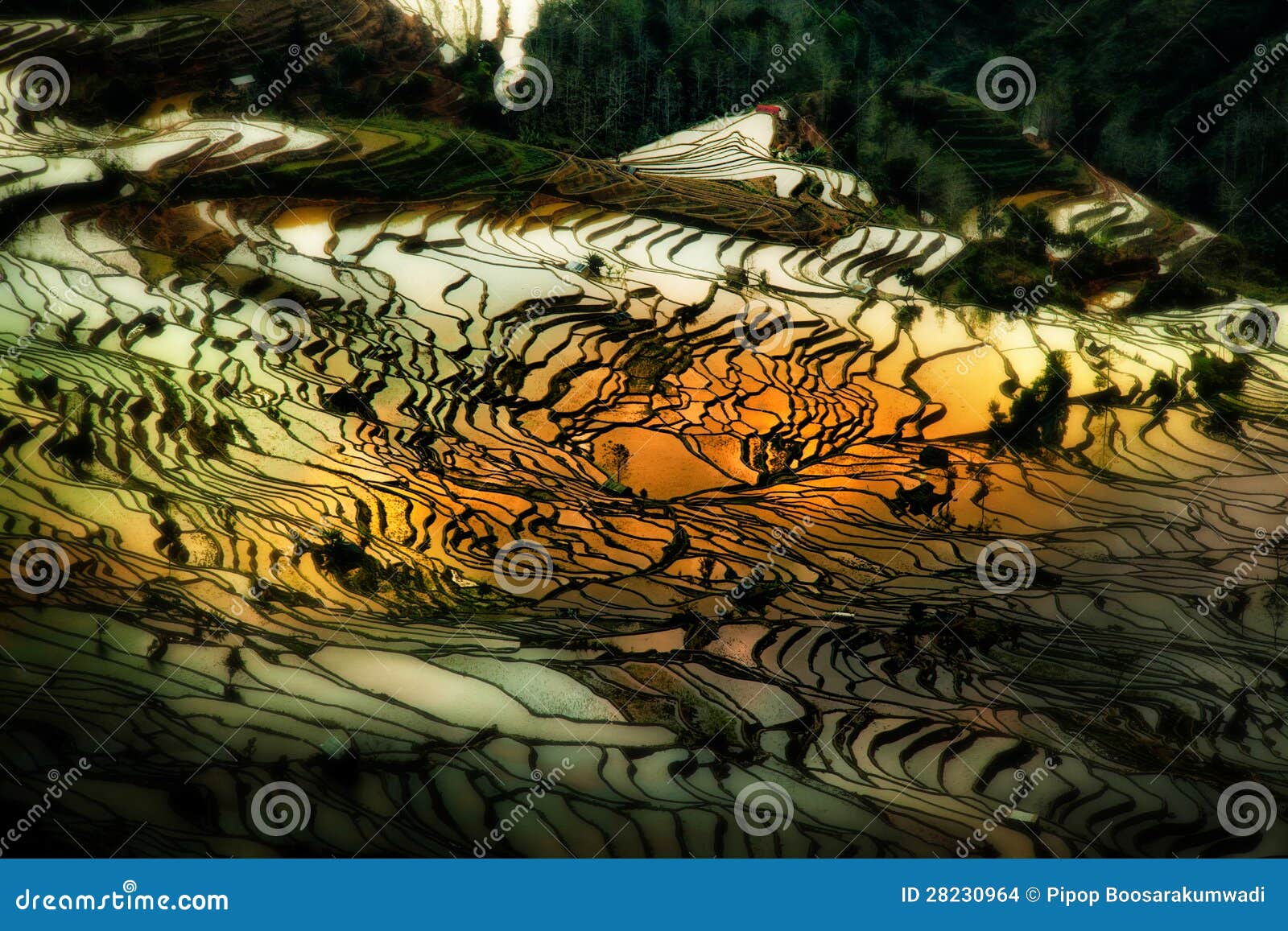 Yuanyang Rice Terraces in Yunnan, China Stock Photo - Image of ...
