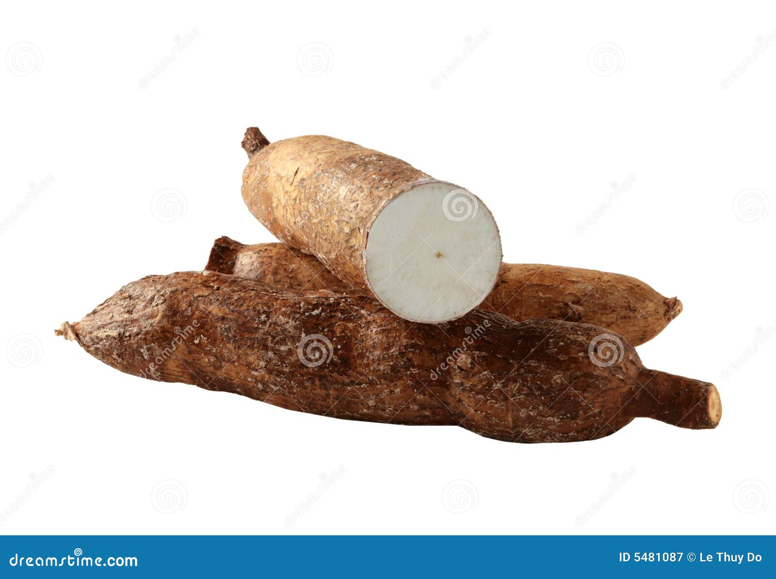 Yuca stock image. Image of yuca, crop, vegetable, carbohydrates - 5481087