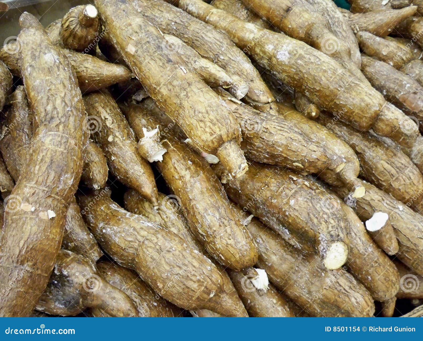 Yuca no mercado do Latino foto de stock. Imagem de alimento - 8501154