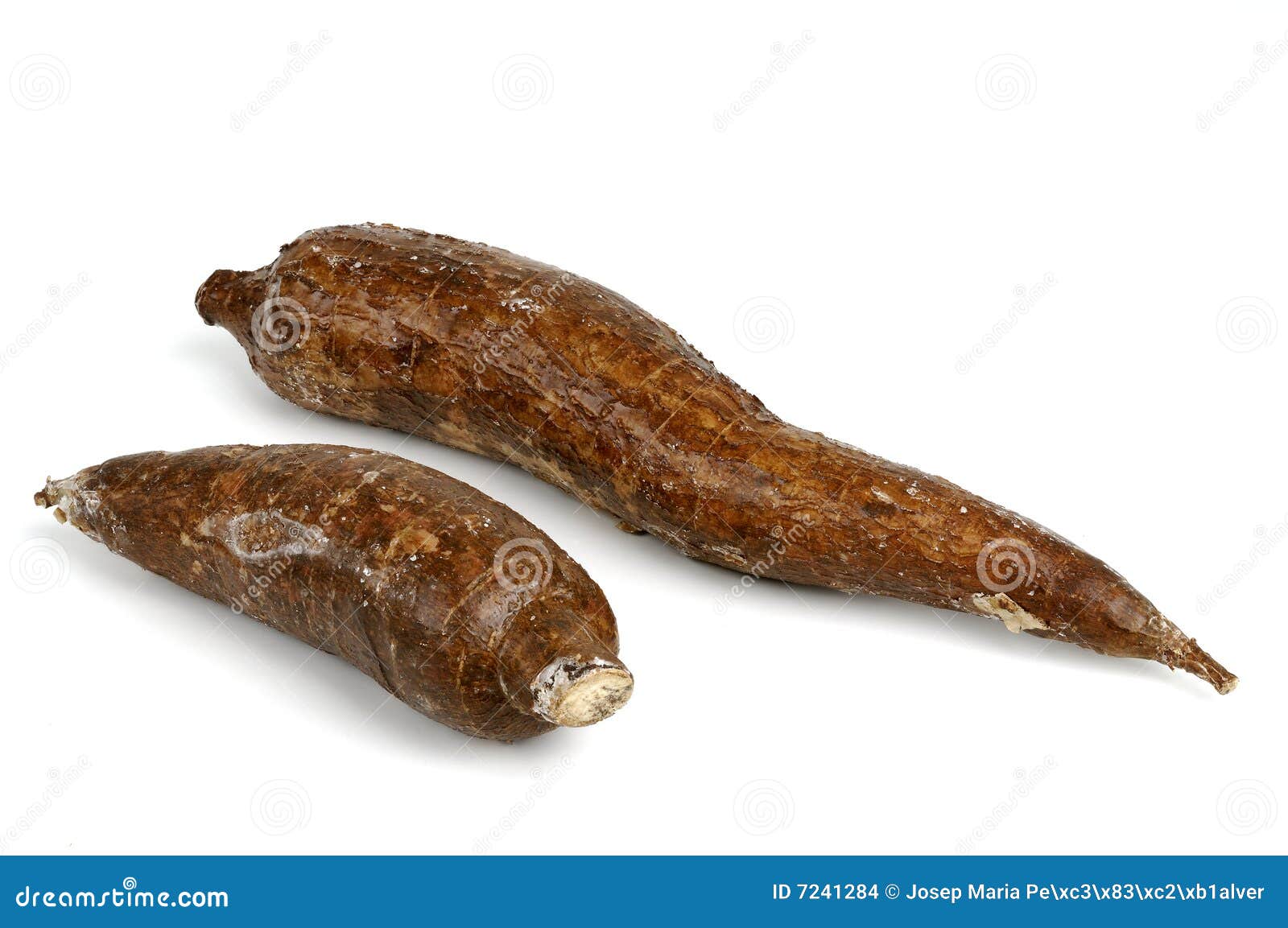 Yuca over white stock photo. Image of spheroid, vegetarian - 7241284
