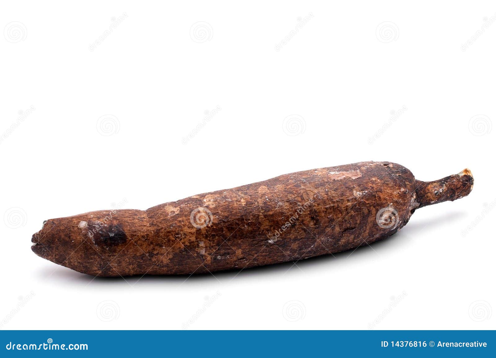 Yuca Root stock photo. Image of produce, latin, spanish - 14376816