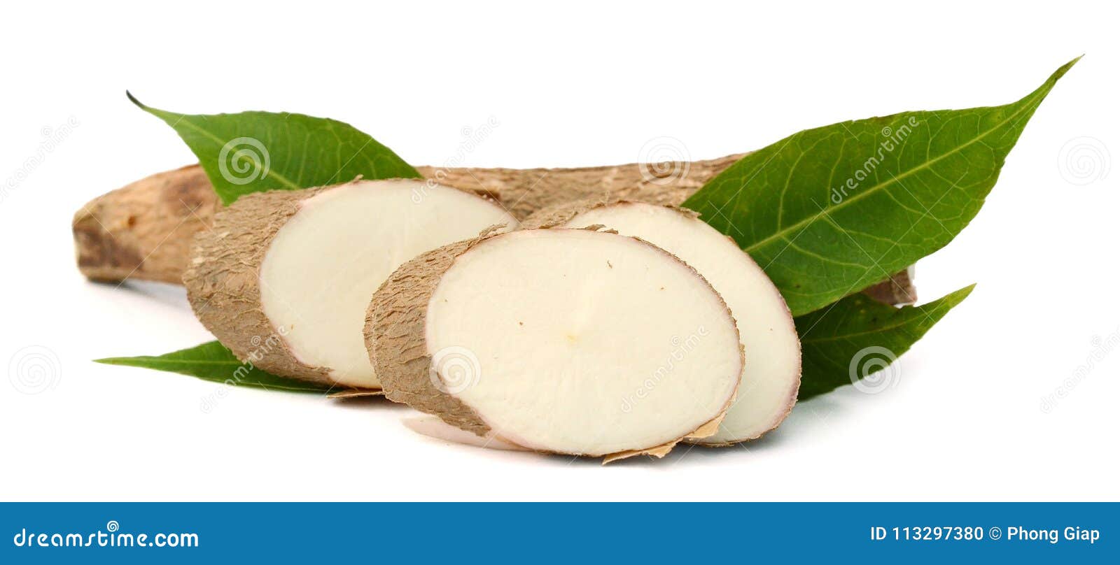 Yuca root. Food, tuberous. stock photo. Image of high - 113297380