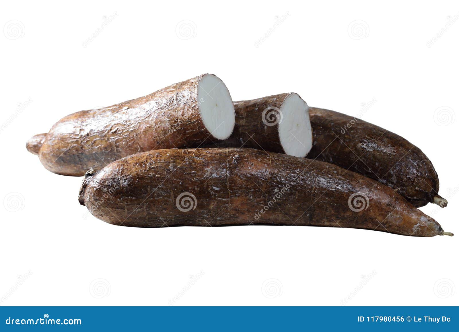 Yuca Roots stock photo. Image of cassava, starch, background - 117980456