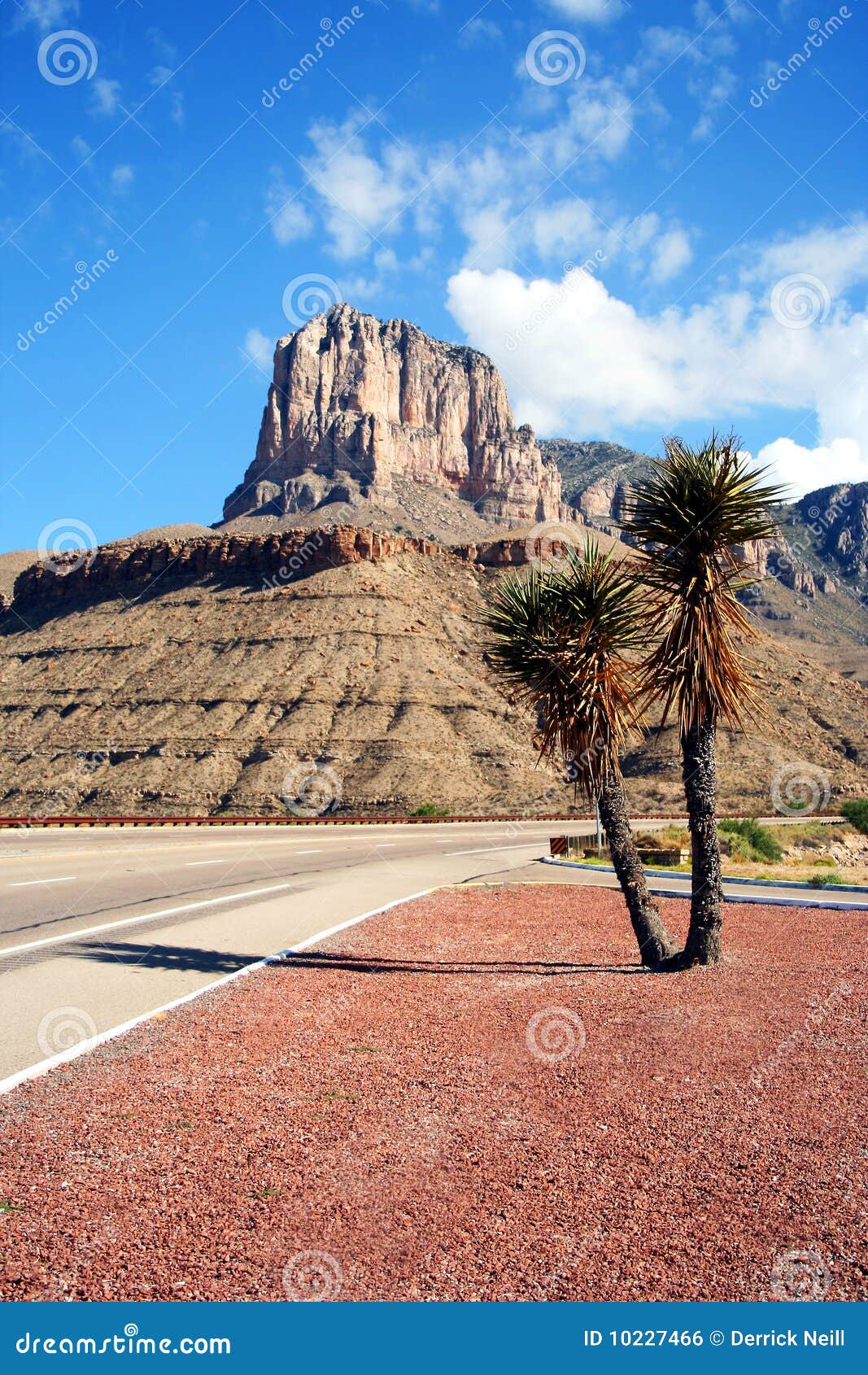 A Yucca on the Highway To the Guadalupe Mountains Stock Photo - Image ...