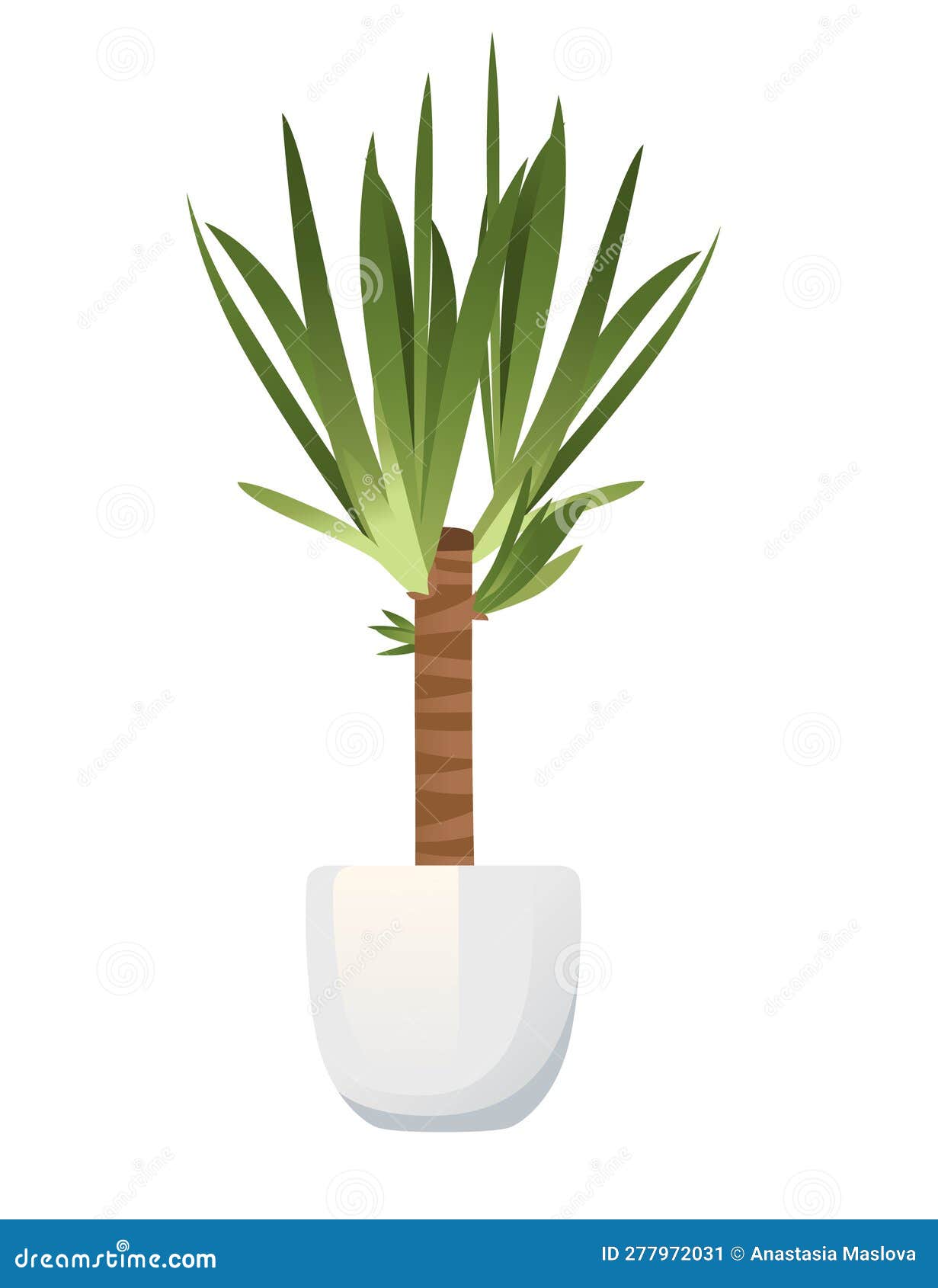 Draceana Yucca Palm Black Silhouette Cartoon Vector | CartoonDealer.com ...