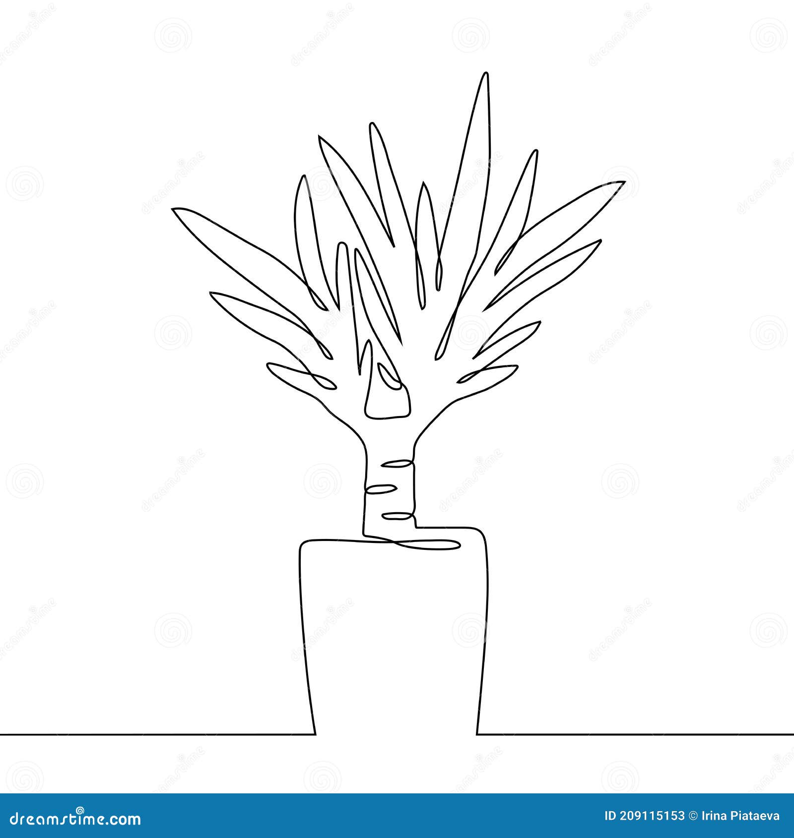 Yucca Isolated On White Background. Continuous One Line Drawing. Vector ...