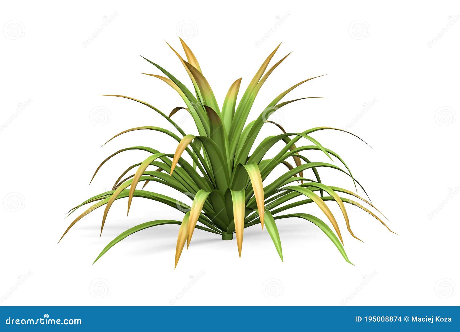 Red Yucca Plant With Shadow On The Floor - Isolated On White Background ...