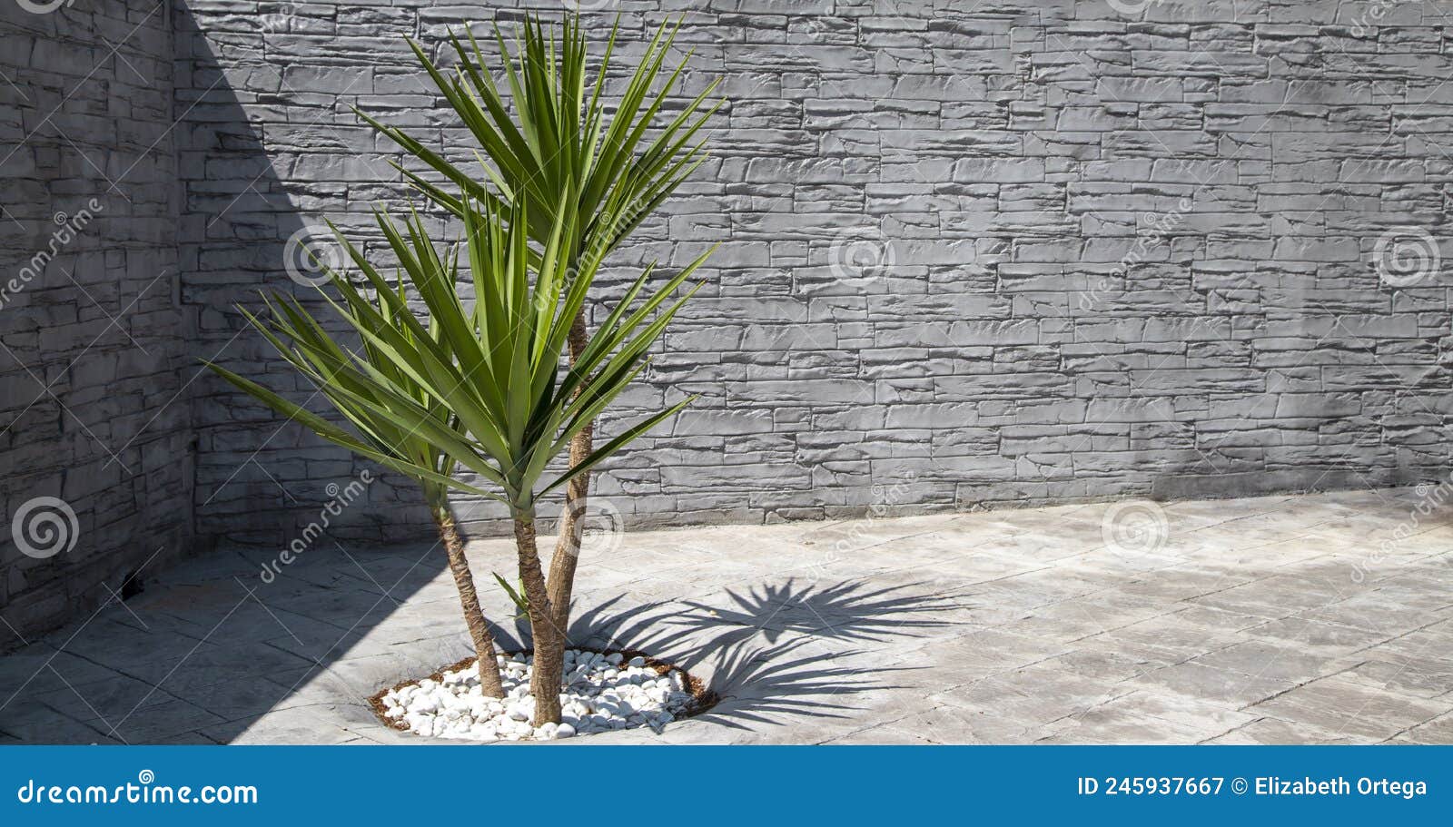 3D Printed Concrete Wall Texture - Seamless Royalty-Free Stock Image ...