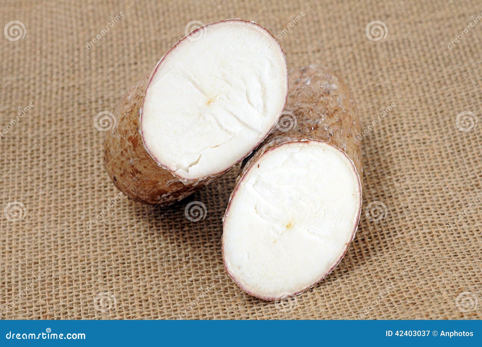 Yucca root stock image. Image of ingredient, brown, natural - 42403037