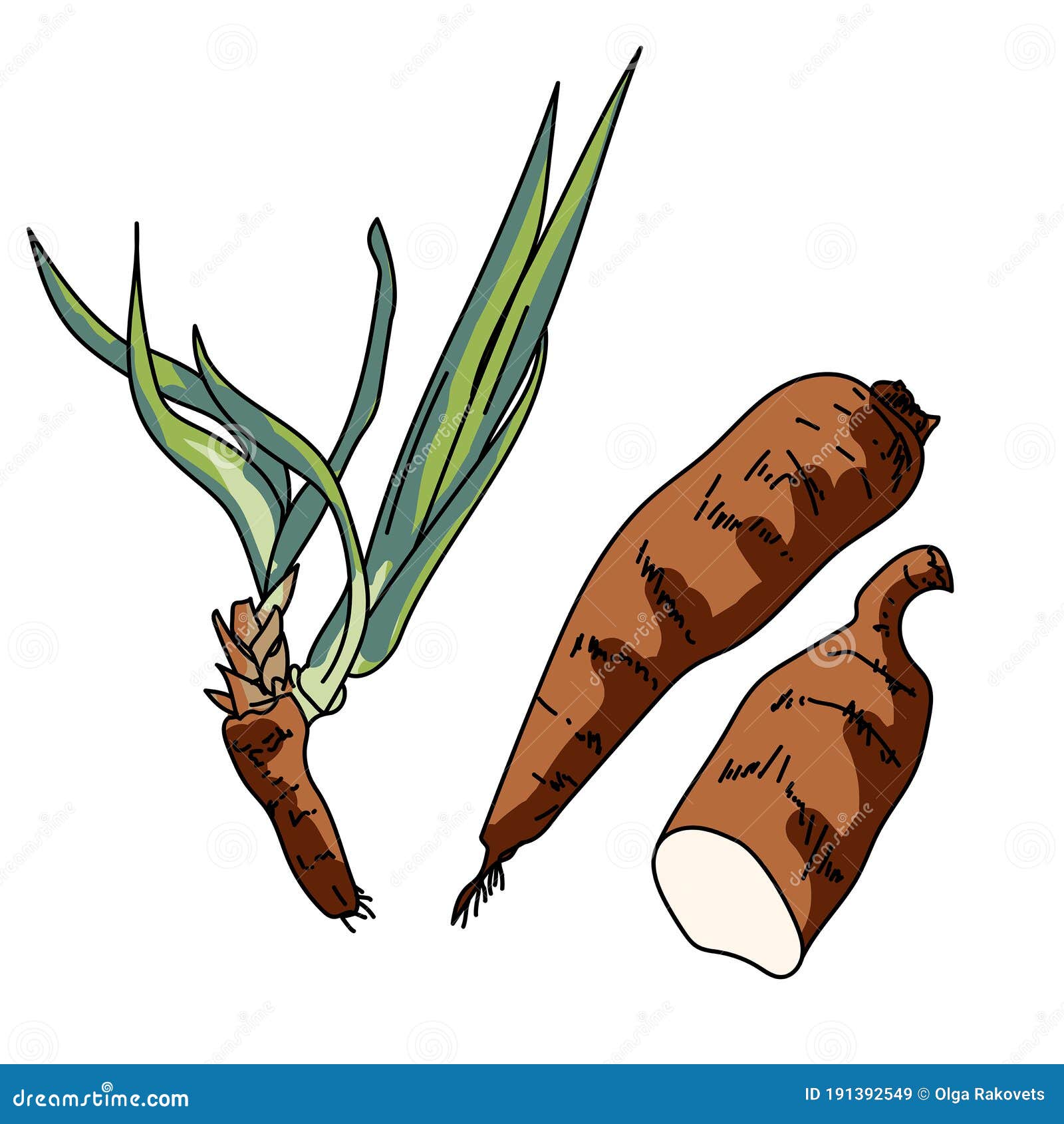 3d Illustration Of Yucca Baccata Bush Isolated On White Background ...