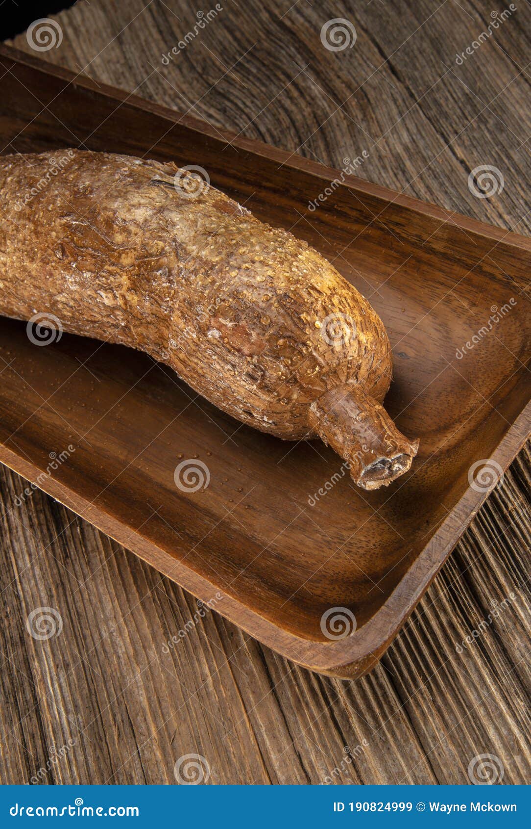 Whole yucca root,vegetable stock image. Image of botany - 190824999