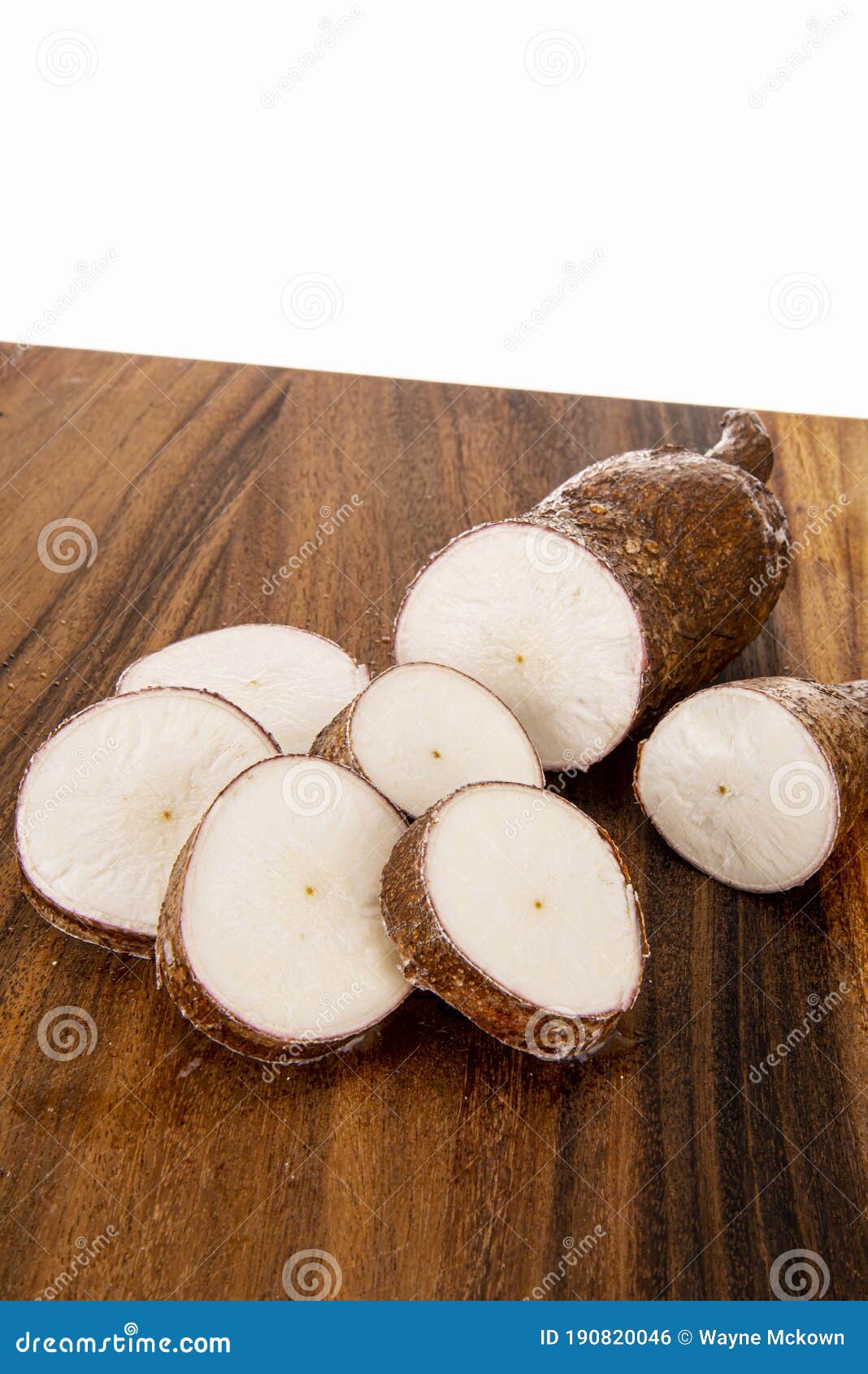 Yucca root,vegetable stock photo. Image of harvest, food - 190820046