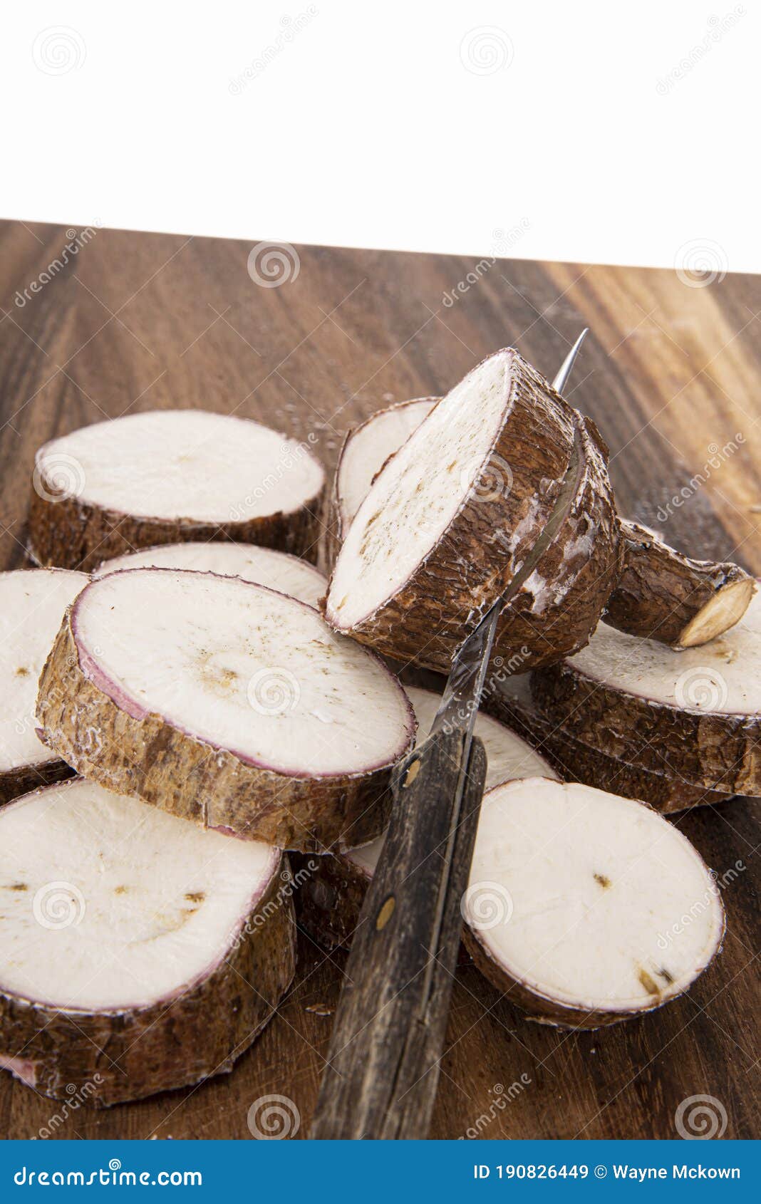 Yucca root,vegetable stock image. Image of esculenta - 190826449